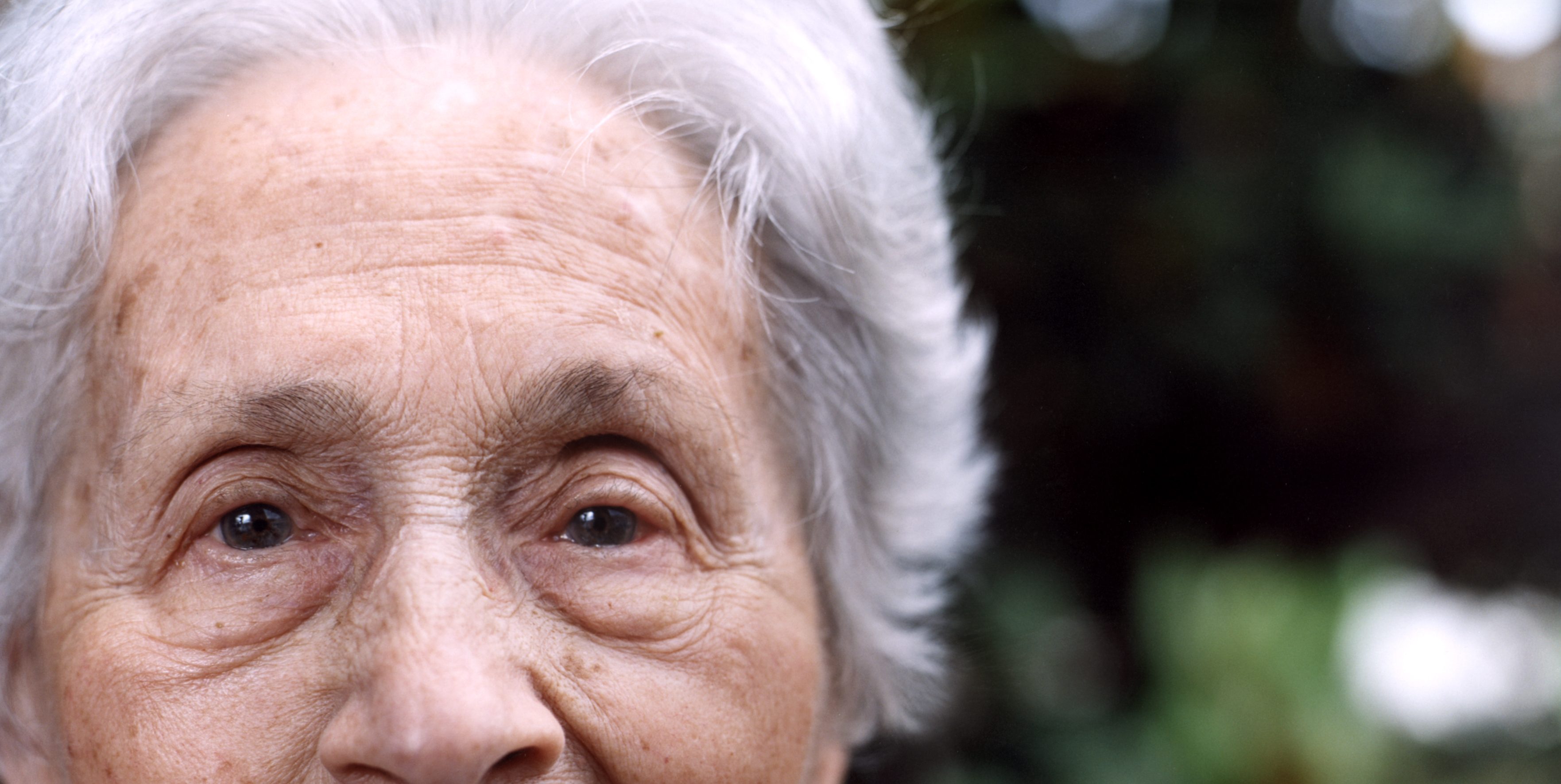 Ilse Grünewald – Ein Stück Deutschland